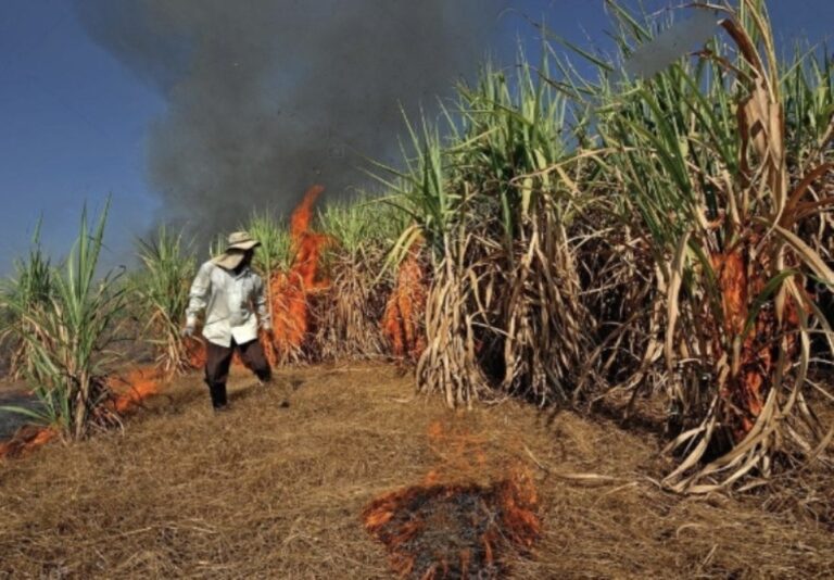 Air Pollution: Health Effects and Tips During Haze - Chiang Mai Kids by ...