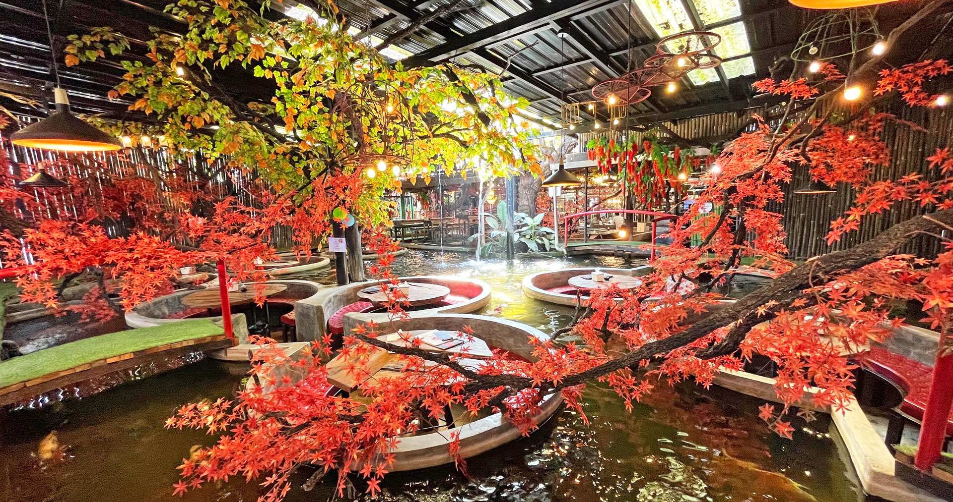 Carp Cafe’ - Chiang Mai Kids by BKK Kids