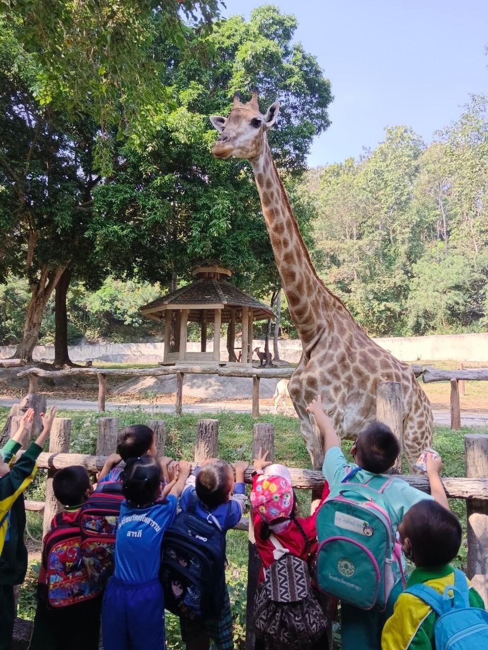 Chiang Mai Zoo - Chiang Mai Kids by BKK Kids