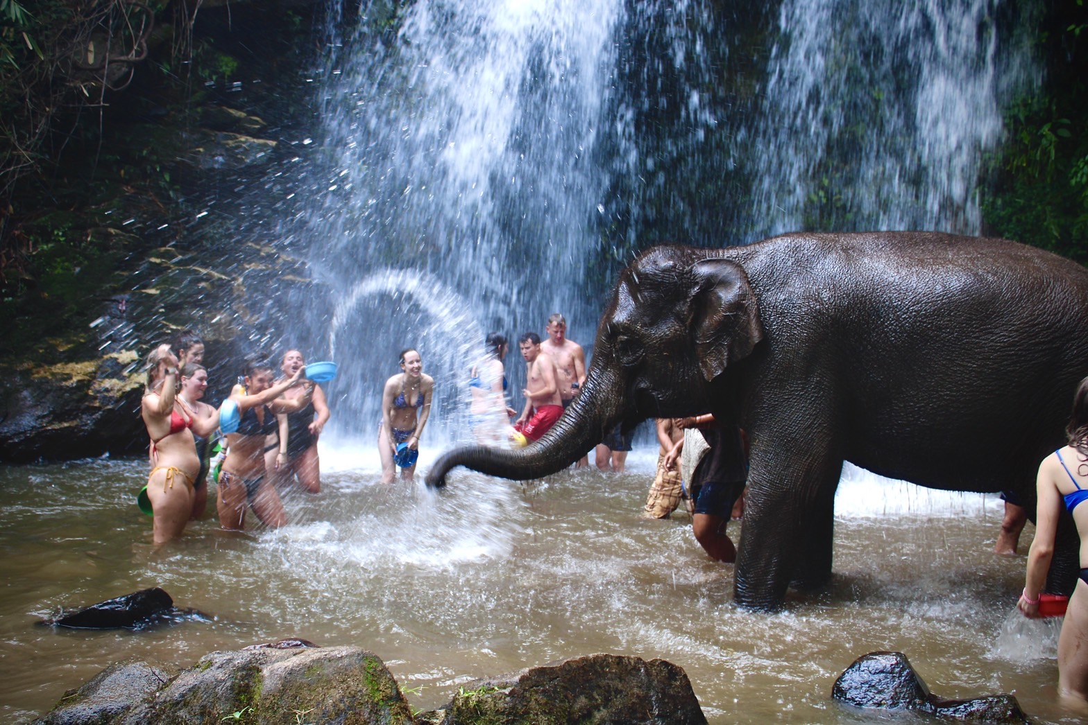 Chiang Mai Elephant Land - Chiang Mai Kids by BKK Kids