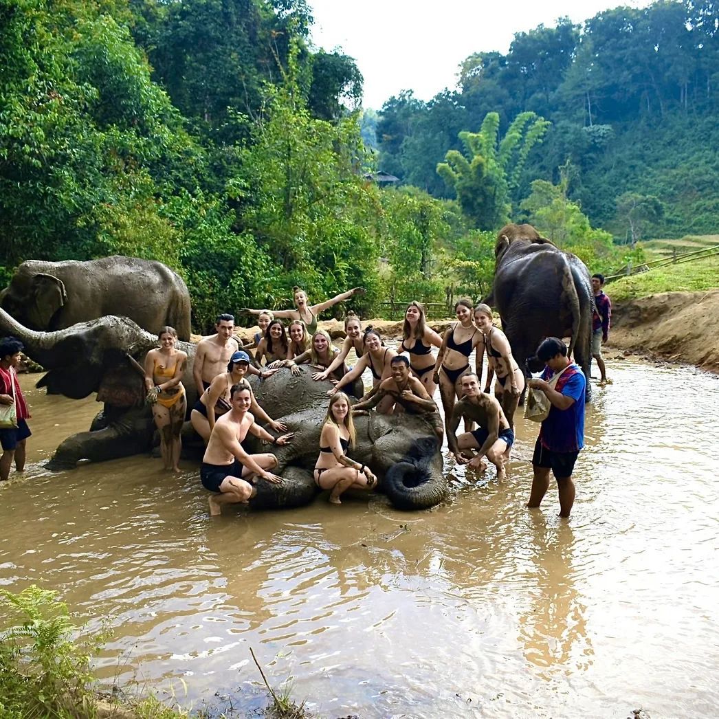 Chiang Mai Elephant Land - Chiang Mai Kids by BKK Kids