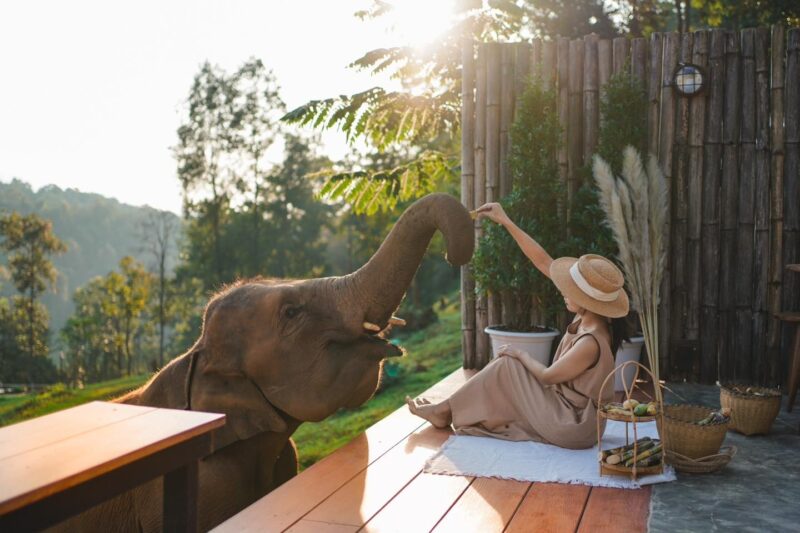 Best kids Cafes in Chiang Mai - Chiang Mai Kids by BKK Kids