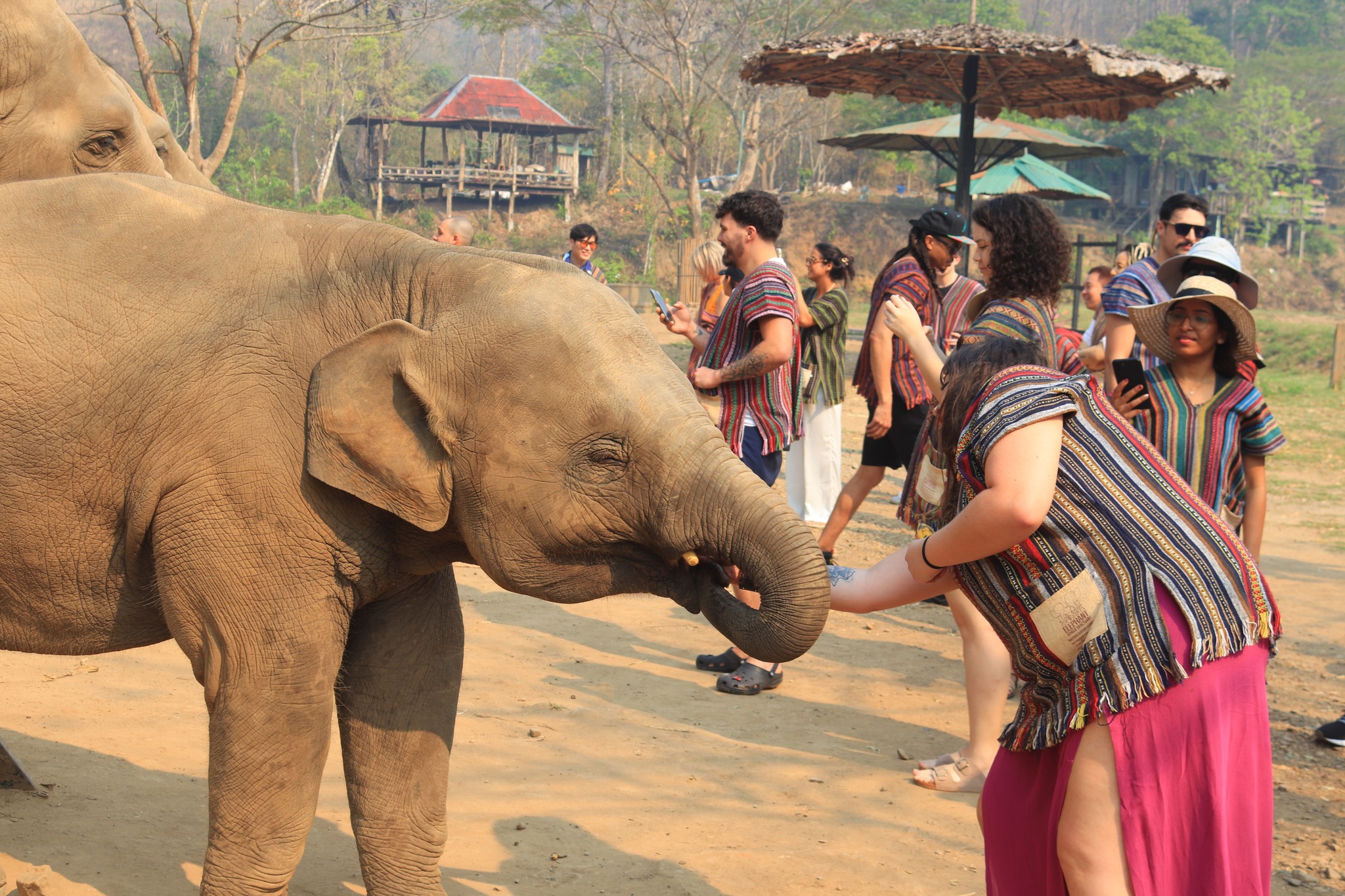 Elephant Jungle Sanctuary - Chiang Mai Kids by BKK Kids