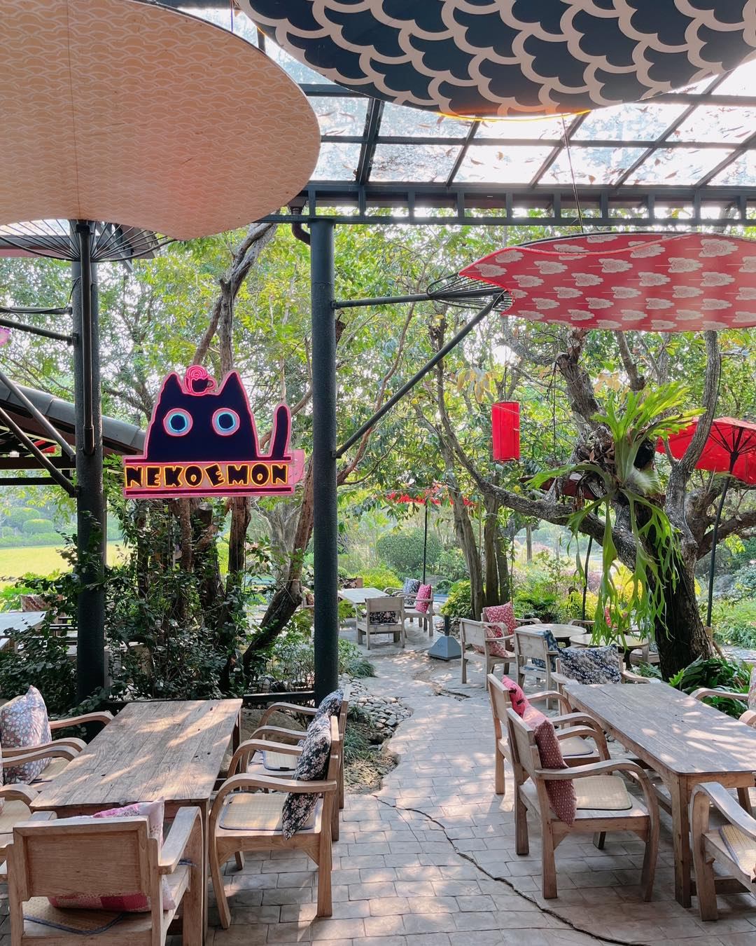 Nekoemon Cafe Chiang Mai - Chiang Mai Kids by BKK Kids