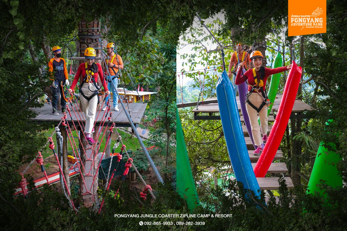 Pongyang Jungle Coaster Zipline Camp & Resort - Chiang Mai Kids by BKK Kids