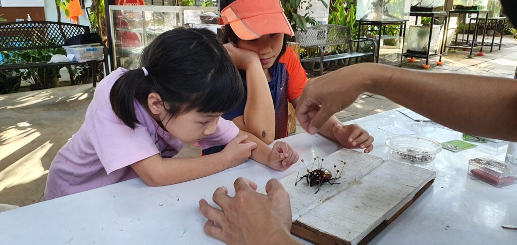 Great Activities for Kids Active in Chiang Mai - Chiang Mai Kids by BKK ...