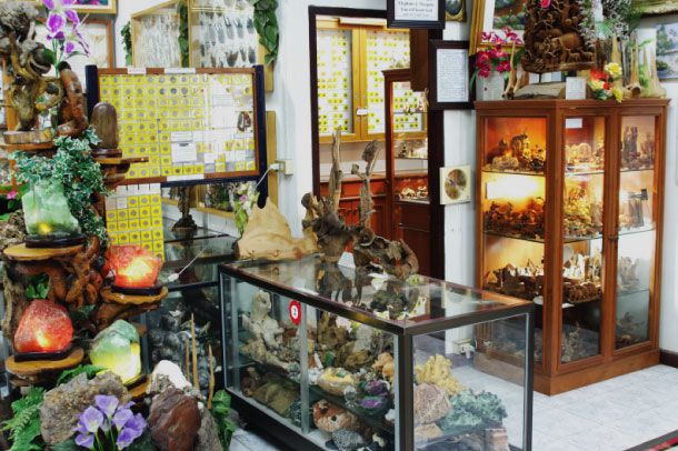 Museum of World Insects and Natural Wonders - Chiang Mai Kids by BKK Kids