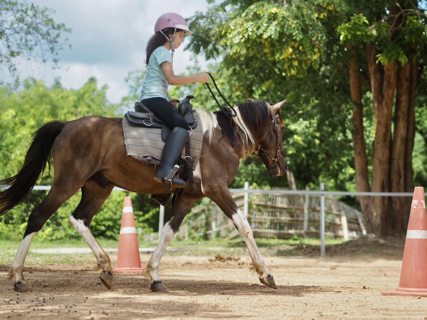 Second Wind Ranch & Rescue - Chiang Mai Kids by BKK Kids