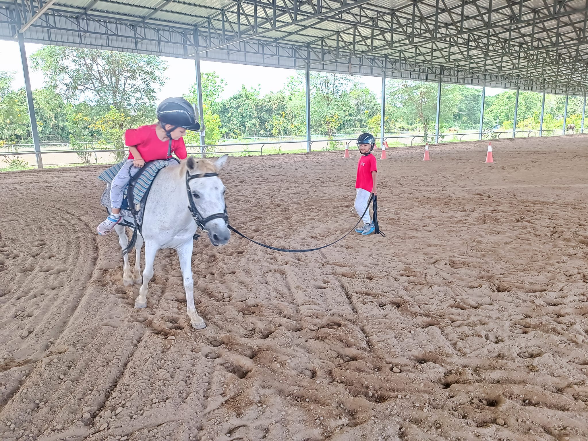 Equestrian Education Center Chiang Mai - Chiang Mai Kids by BKK Kids