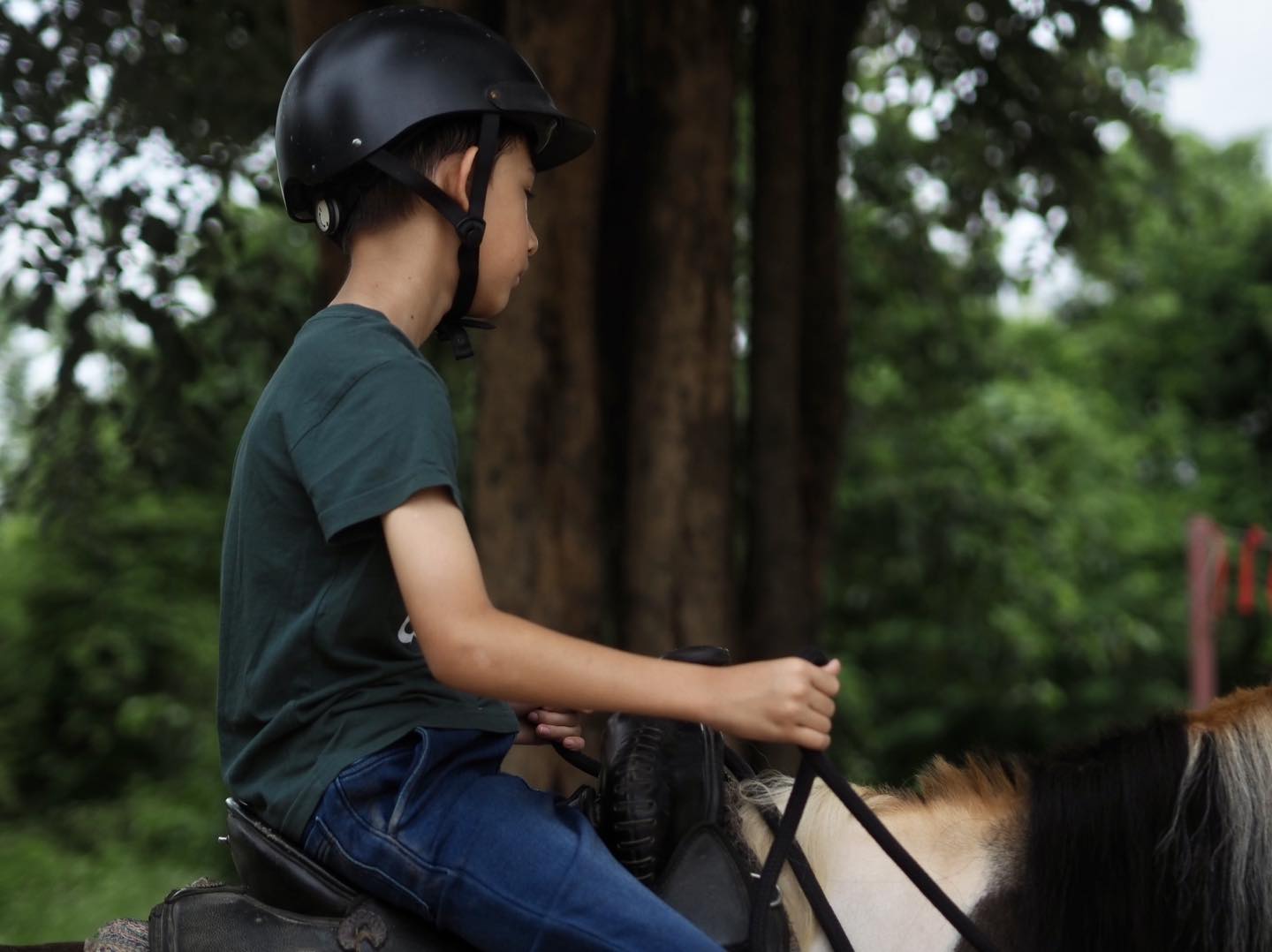 Second Wind Ranch & Rescue - Chiang Mai Kids by BKK Kids