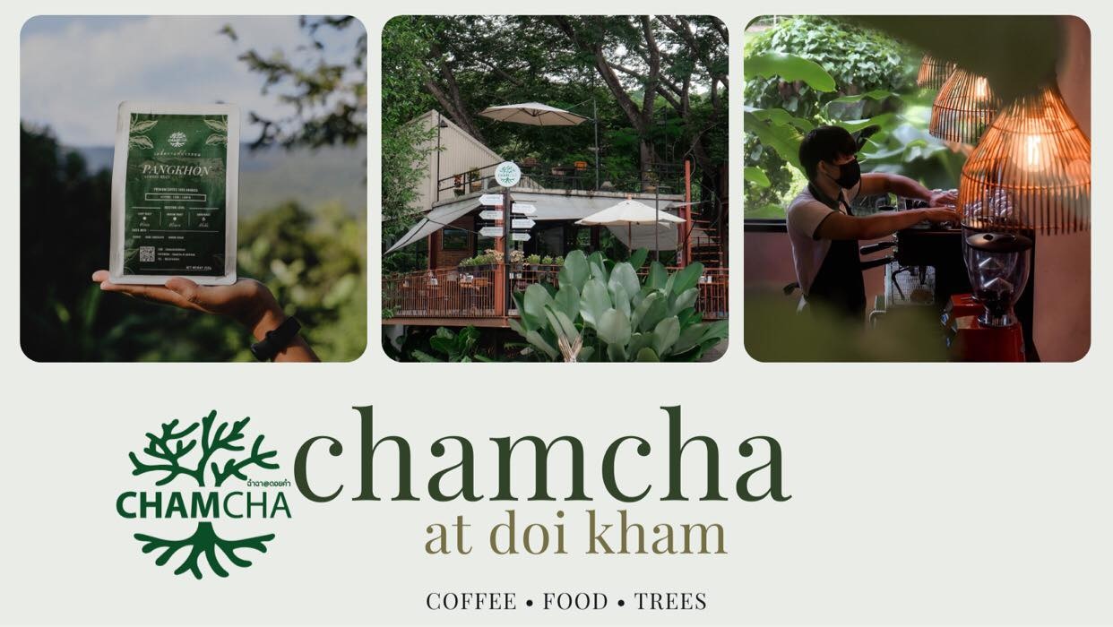 Chamcha at Doi Kham - Chiang Mai Kids by BKK Kids