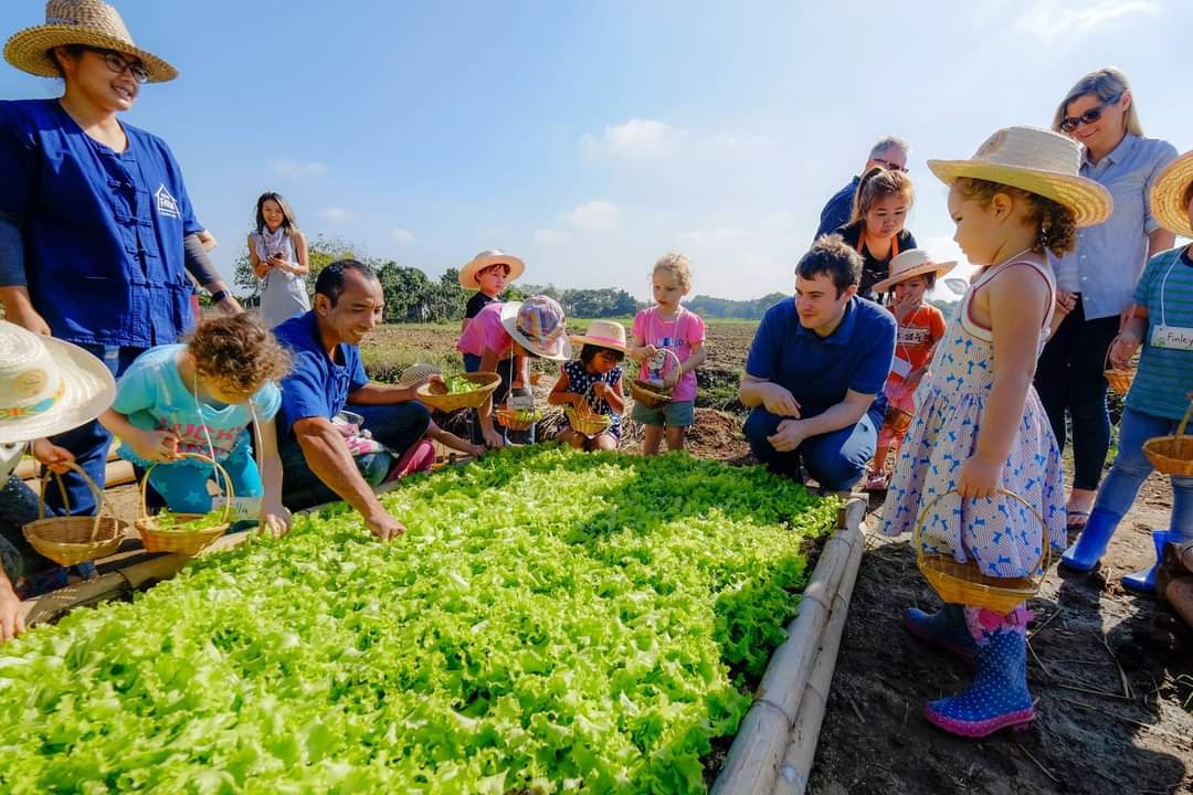 Ginger Farm Chiangmai - Chiang Mai Kids by BKK Kids