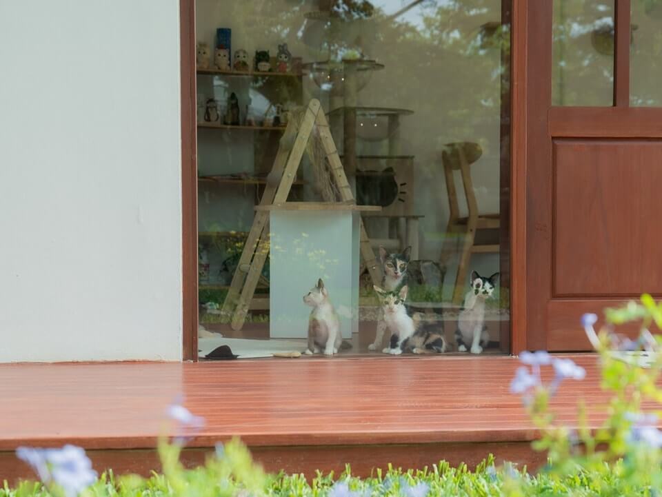 Niji Cafe - Chiang Mai Kids by BKK Kids