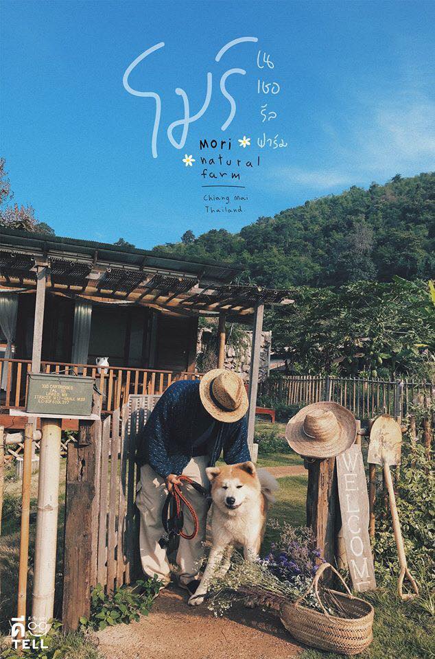 Mori Natural Farm Chiang Mai - Chiang Mai Kids by BKK Kids